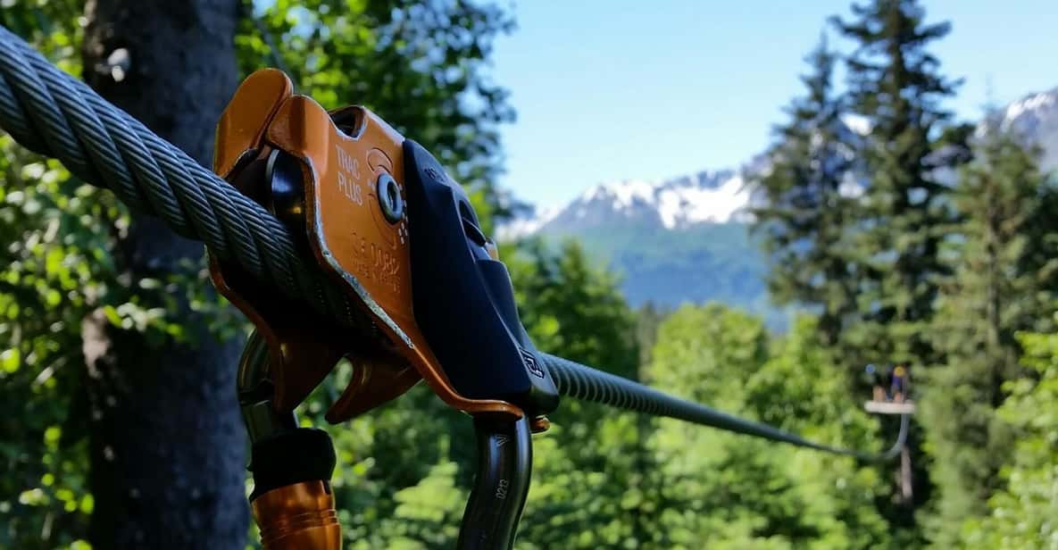 Seward: Stoney Creek Canopy Tour with Zipline - What Makes the Seward Canopy Tour Special?