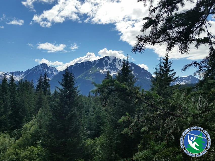 Seward: Stoney Creek Canopy Tour with Zipline - The Experience and Its Value