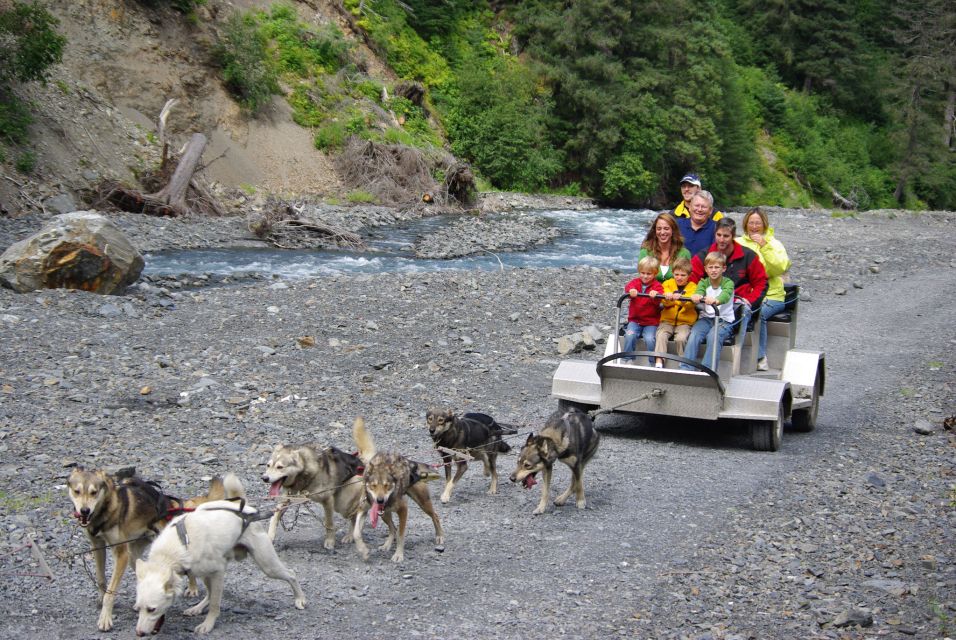 Seward: Summer Dog Sled Ride and Seavey Estate Tour - Key Points  