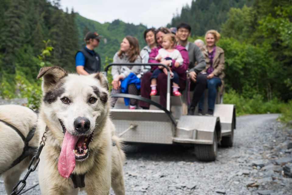 Seward: Summer Dog Sled Ride and Seavey Estate Tour - Practical Tips for Travelers