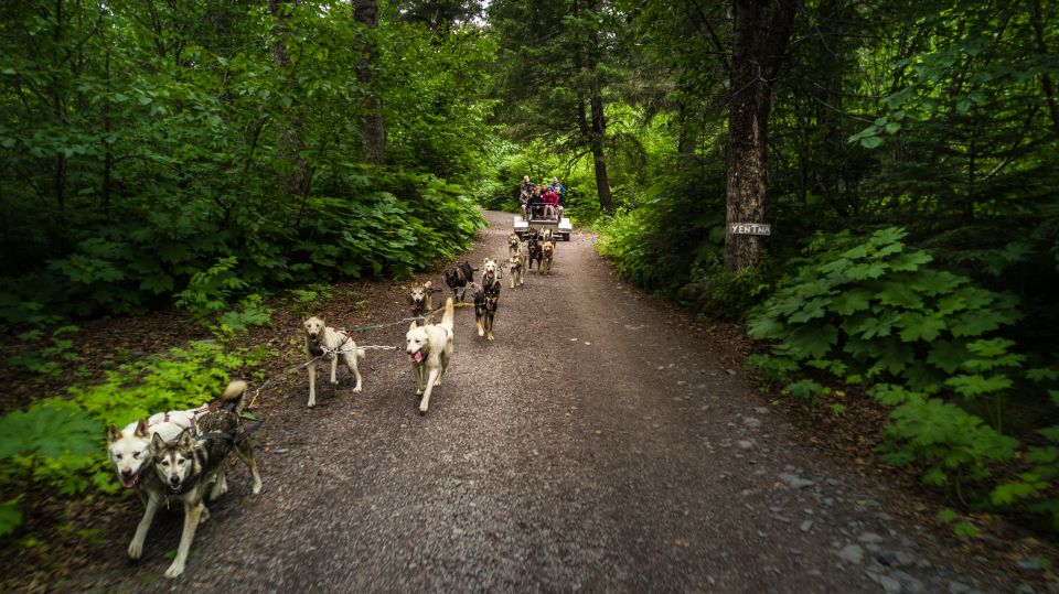 Seward: Summer Dog Sled Ride and Seavey Estate Tour - Final Thoughts