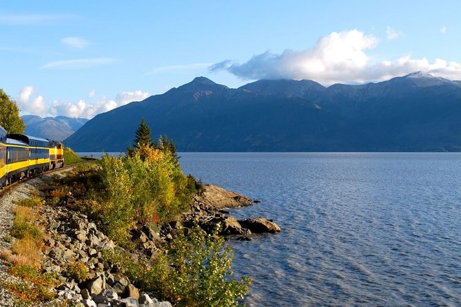 Seward to Anchorage Cruise Transfer and Private Tour - A Detailed Look at the Itinerary