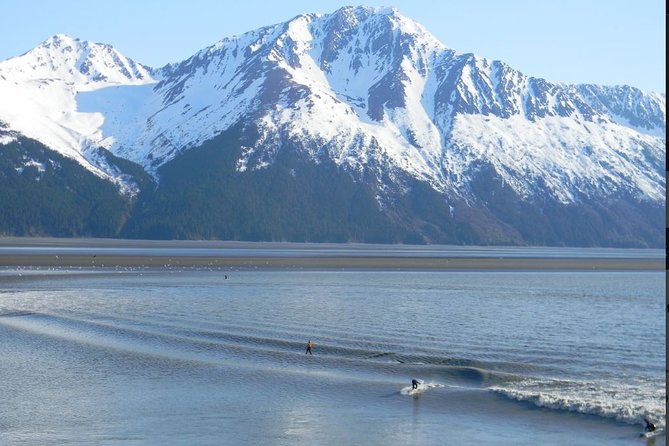 Seward to Anchorage Cruise Transfer and Private Tour - Who Will Love This Tour?