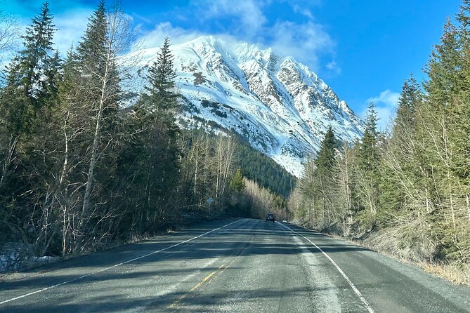 Seward to Anchorage Full Day Transit Tour with Port Pickup - FAQ