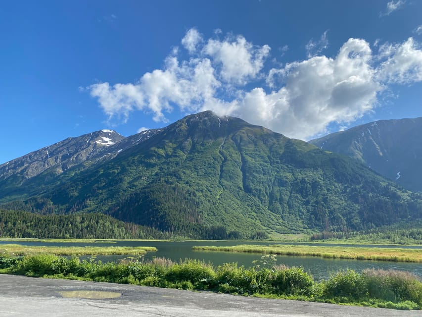 Seward: To Anchorage Full Day Transit Tour with Port Pickup - Pricing & Value Analysis