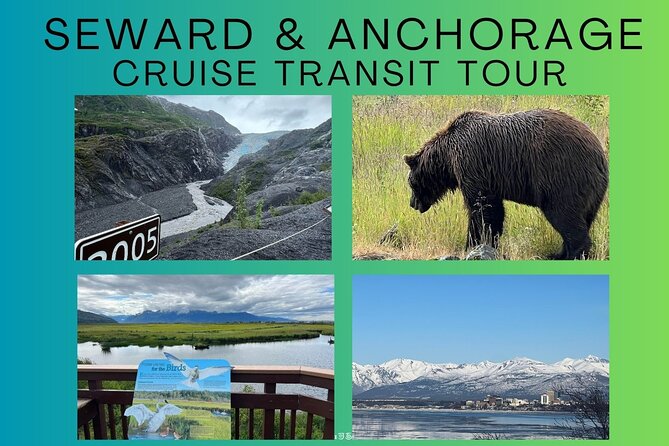 Seward to Anchorage transfer with National Park hike and AWCC - Transportation and Overall Value