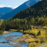 Seward to Anchorage Wildlife Adventure - The Final Drop-offs and Logistics