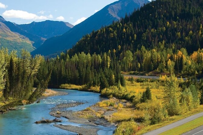 Seward to Anchorage Wildlife Adventure - The Final Drop-offs and Logistics