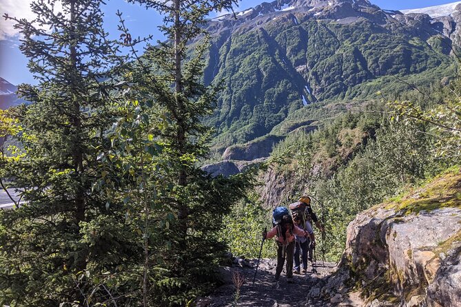 Seward Wilderness Hiking - The Hiking Experience: Terrain, Duration, and Difficulty