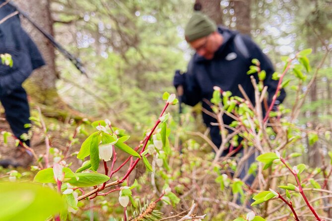 Seward Wilderness Hiking - Who Should Consider This Tour?