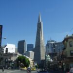 SF: Guided Muir Woods Tour & Hop-On Hop-Off Tour (Save 15%) - Exploring Muir Woods: A Forest of Giants