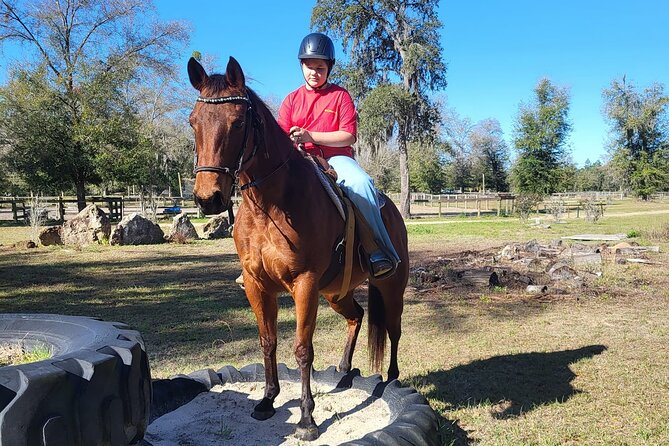 Shaded Trails Horse Ride - The Value and Practicalities