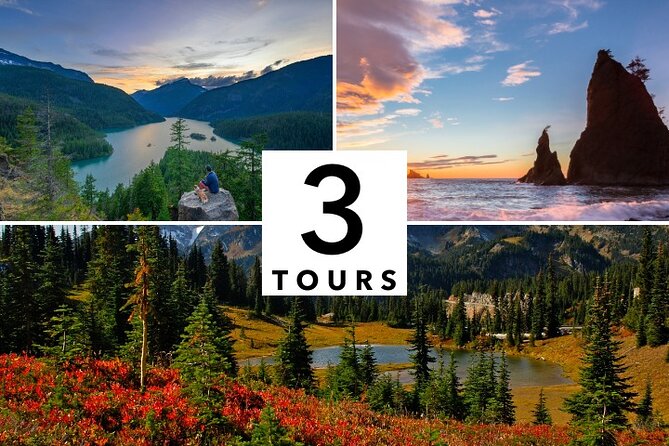 Shaka Guide: Seattle Audio Tour Bundle - Who Will Love This Tour?
