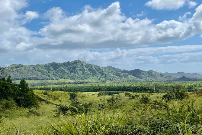 Shaka Zipline: 5 Line Zipline Tour (60 - 260 lbs) - Who Will Love This Tour?