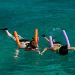 Shallow Water Snorkeling and Dolphin Watching in Key West - Why This Tour Offers Great Value