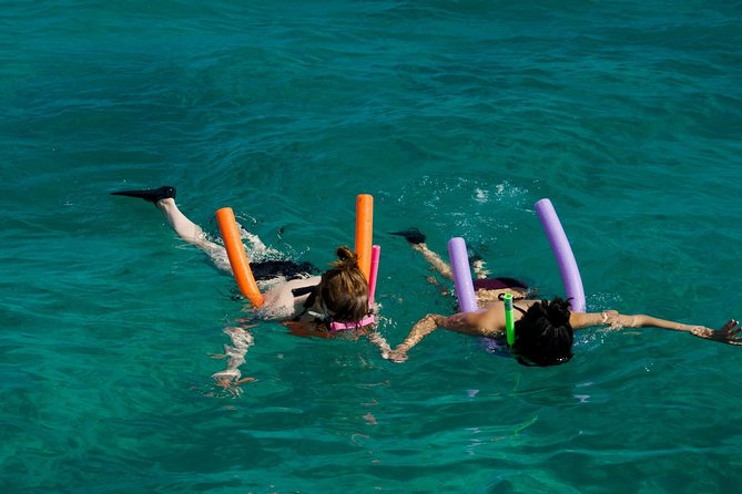 Shallow Water Snorkeling and Dolphin Watching in Key West - Why This Tour Offers Great Value