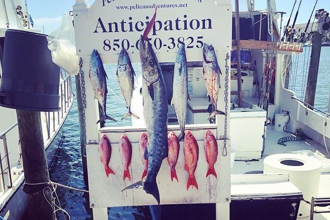 Shared Deep Sea Fishing Trip from Destin - Key Points