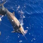 Shared Deep Sea Full-Day Fishing Charter in Hawaiian Waters - Authentic Experiences Highlighted by Reviewers