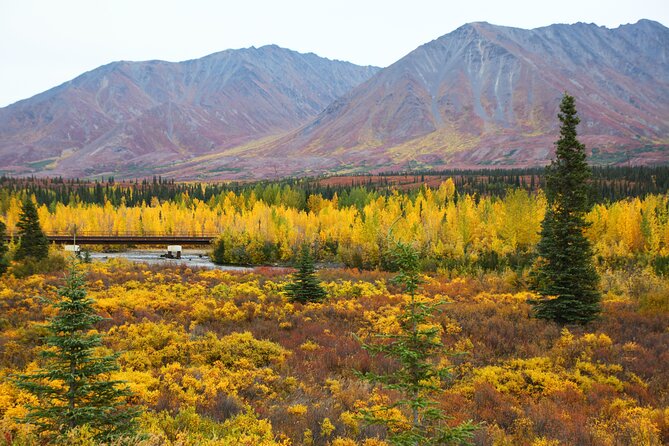 Shared Denali National Park Entrance to Fairbanks Transport - Additional Considerations and Practical Tips
