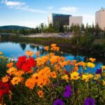 Shared Fairbanks to Denali National Park Entrance Transport - The Sum Up