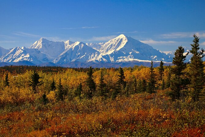 Shared Fairbanks to Denali National Park Entrance Transport - FAQs