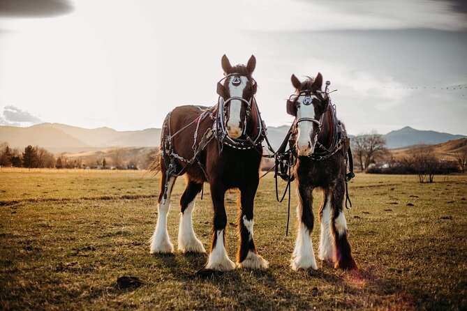 Shared Golden's History Wagon Ride Tour in Colorado - FAQs