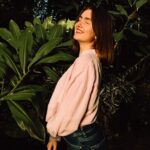 Shared Jungle Dreams Insta-Walk Photoshoot - Authentic Insights from Reviewers