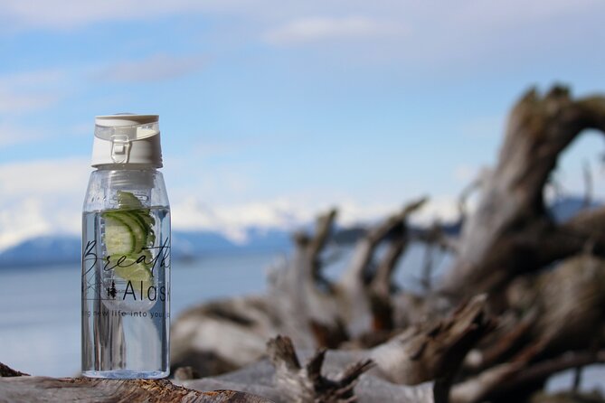 Shared Mindfulness in Wilderness Tour From Alaska - What You Can Expect from This Tour