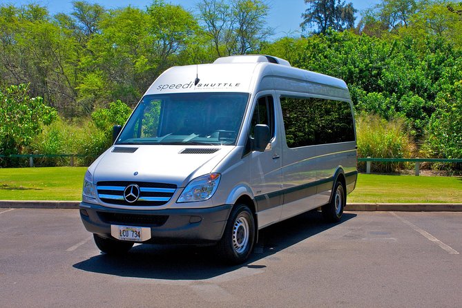 Shared Round-Trip Transfer: Honolulu Airport to Hotel or Cruise Terminal - Key Points