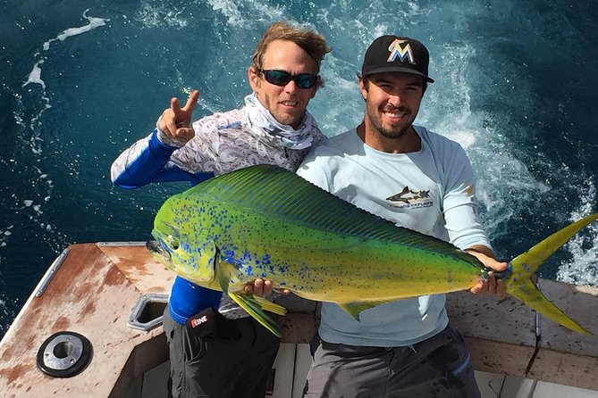 Shared Sportfishing Trip from Fort Lauderdale - The Sum Up
