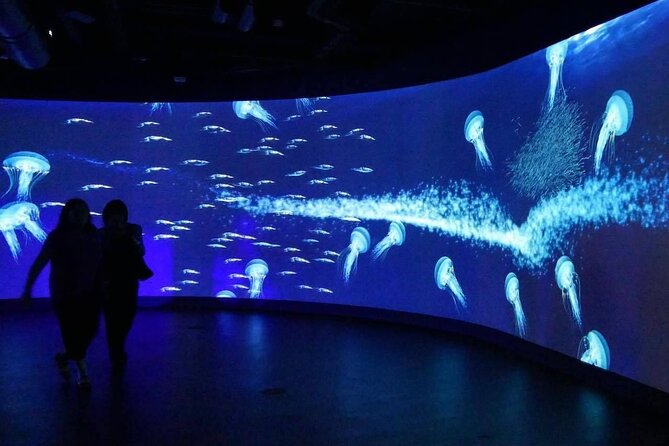 Shared Tour in Miami with Transfer - What Past Travelers Have Said