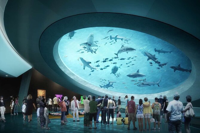 Shared Tour in Miami with Transfer - Who Will Love This Tour?