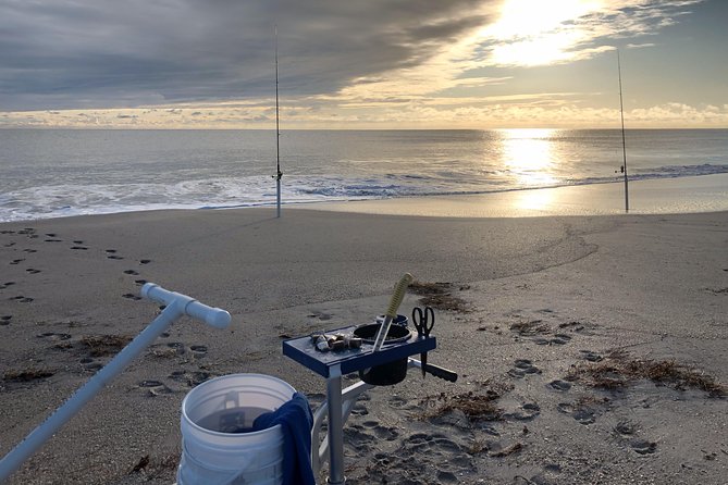 Shark and Fishing Ultimate Combo Beach Fishing Excursion 4 Hrs - The Experience in Detail