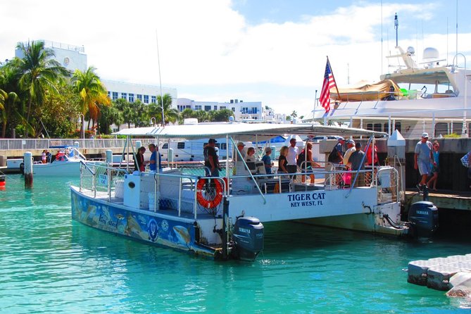 Shark and Wildlife Viewing Adventure in Key West - The Value and Overall Impression