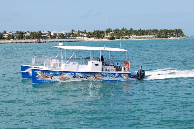 Shark and Wildlife Viewing Adventure in Key West - FAQ