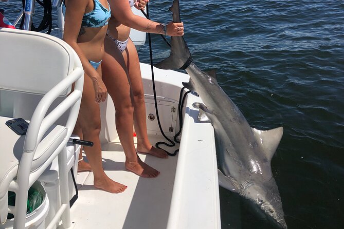 Shark Fishing Tampa Bay - The Value of a $1,000 Investment