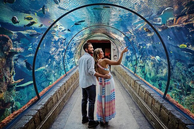 Shark Reef at Mandalay Bay Hotel and Casino - Itinerary Breakdown