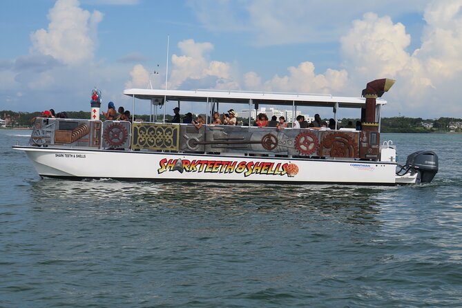 Shark Teeth and Shells, Dolphin and Shelling Tour Boat Clearwater Beach - Key Points