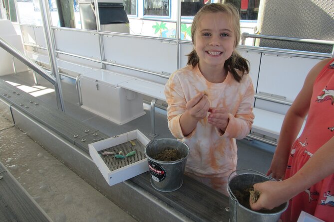 Shark Teeth and Shells, Dolphin and Shelling Tour Boat Clearwater Beach - An In-Depth Look at the Tour Experience