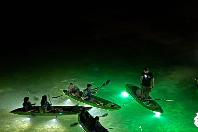 Sharkey's Glass Bottom Fish Feeding LED Night Tour in Clearwater - What Is Sharkey’s LED Night Fish Feeding Tour?