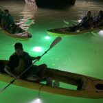 Sharkey's Glass Bottom Fish Feeding LED Night Tour in Clearwater - Detailed Itinerary and Experience