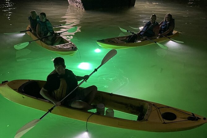 Sharkey's Glass Bottom Fish Feeding LED Night Tour in Clearwater - Detailed Itinerary and Experience