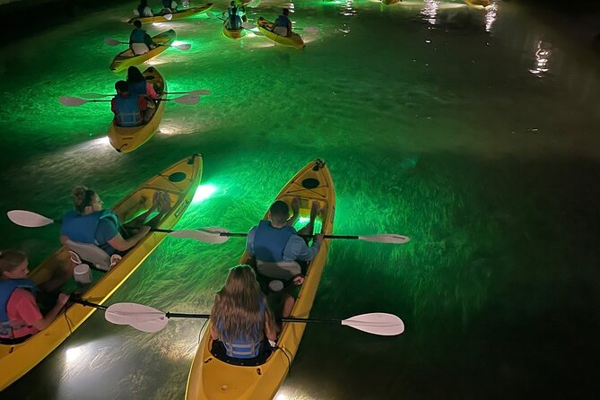 Sharkey's Glass Bottom Fish Feeding LED Night Tour in Clearwater - Practical Details and Value