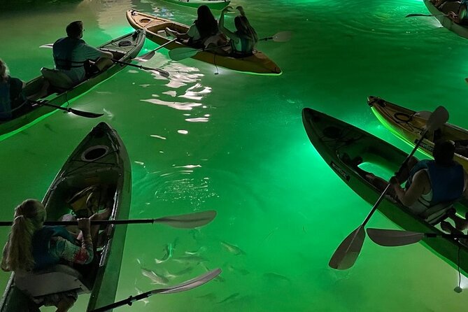 Sharkey's Glass Bottom Fish Feeding LED Night Tour in Clearwater - FAQs