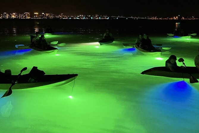 Sharkey's Glass Bottom Fish Feeding LED Night Tour in Sarasota - Exploring Sarasota’s Waterways in a Whole New Light