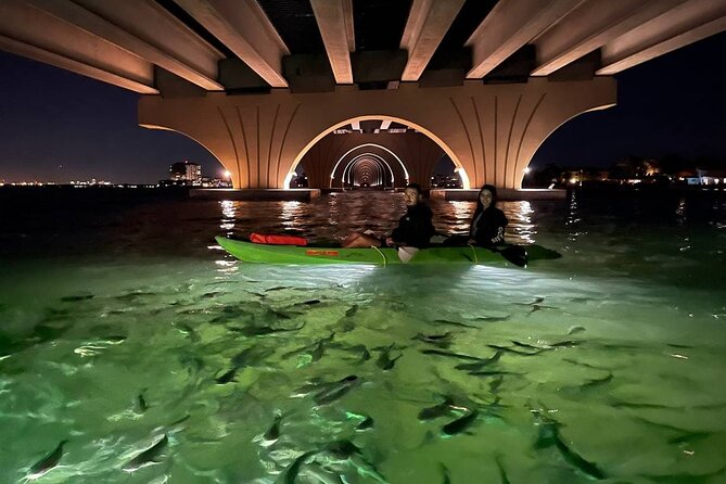 Sharkeys Glass Bottom Fish Feeding LED Night Tour St. Pete Beach - An Honest Look at the Experience