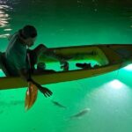 Sharkeys Glass Bottom Fish Feeding LED Night Tour St. Pete Beach - Why Youll Love This Tour