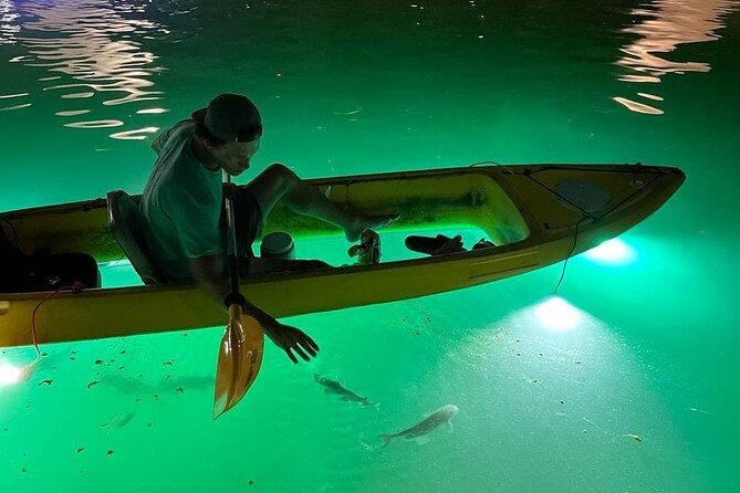 Sharkeys Glass Bottom Fish Feeding LED Night Tour St. Pete Beach - Why Youll Love This Tour