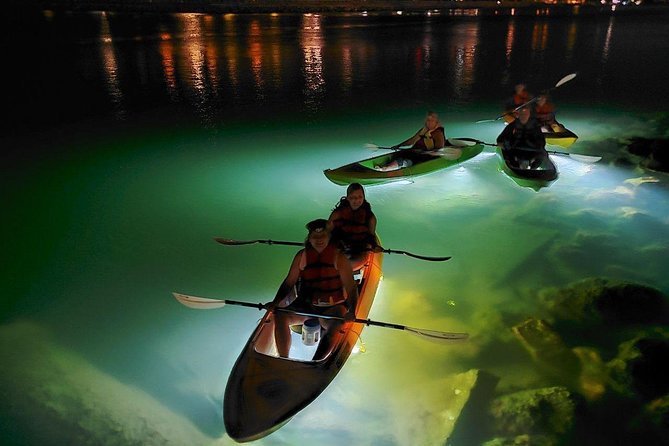 Sharkeys Glass Bottom Fish Feeding LED Night Tour St. Pete Beach - Final Thoughts