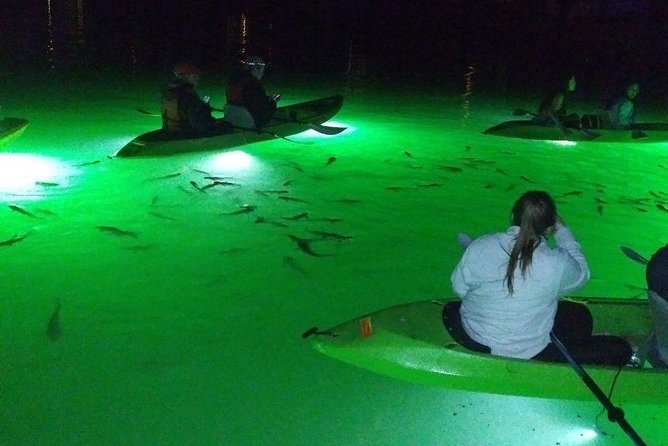 Sharkeys Glass Bottom Fish Feeding LED Night Tour St. Pete Beach - FAQ